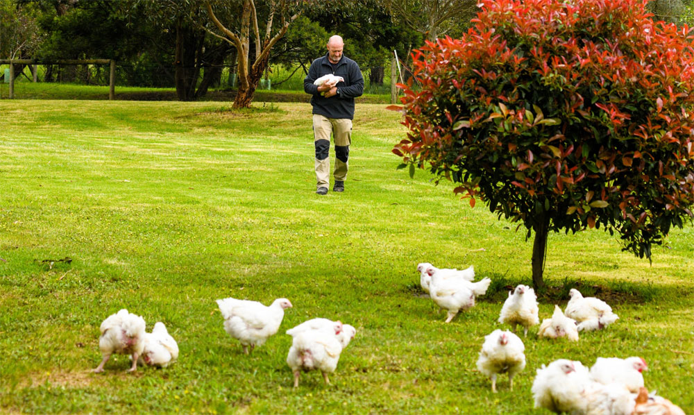 Our Values - Ingham's